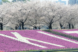 Akabane Area | 東京都北区観光ホームページ